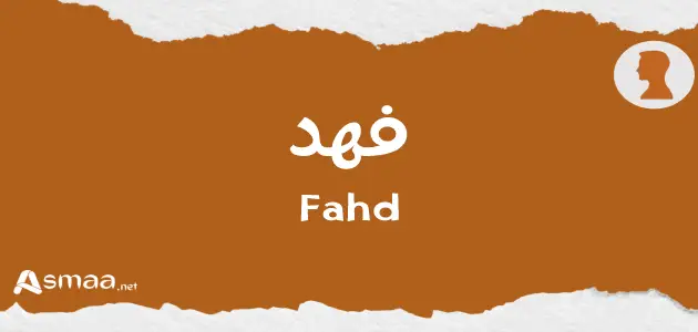 معنى اسم فهد - أسماء