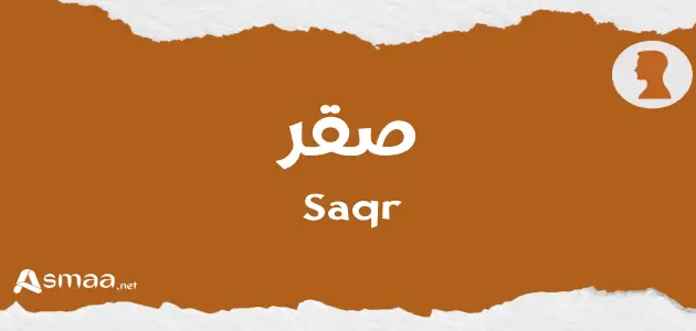 معنى اسم صقر - أسماء